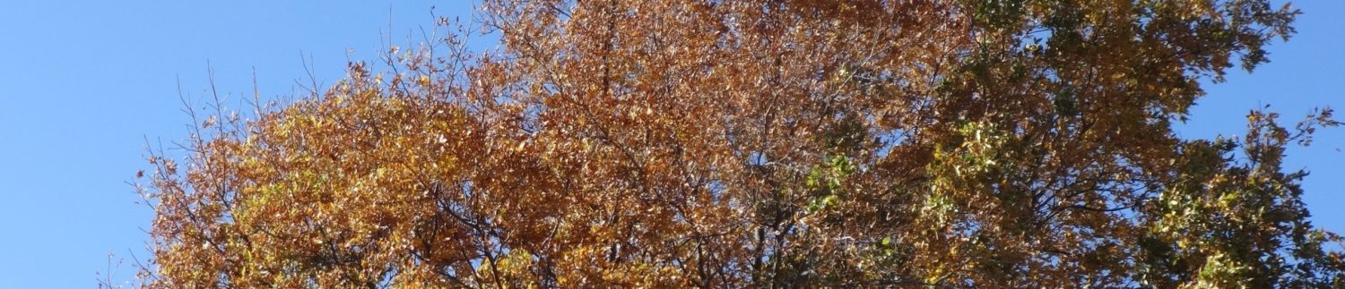 Building Permits – Town of Black Earth